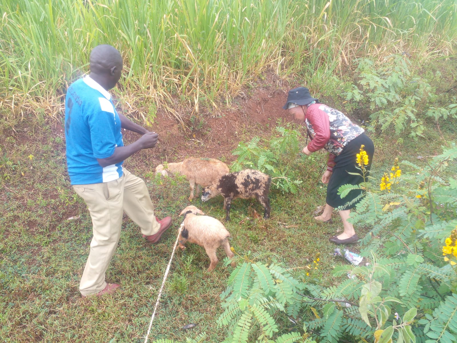 Albinism Support and Empowerment Network